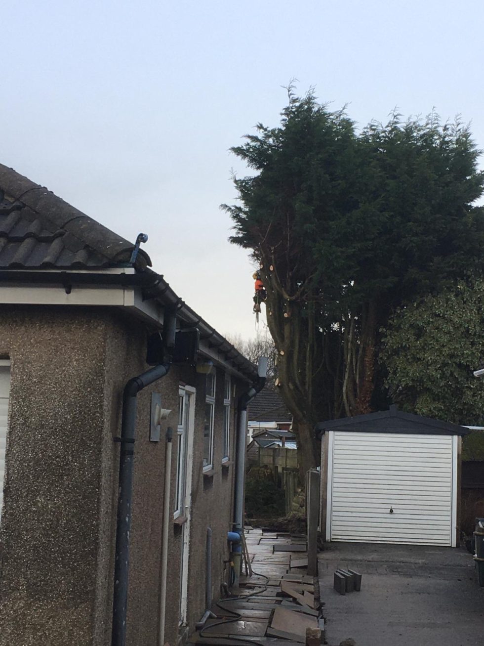 Tree Felling, Topping and Lopping | Sowerby Tree Care & Landscapes